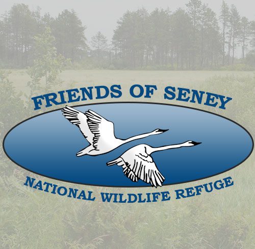 Friends of Seney National Wildlife Refuge