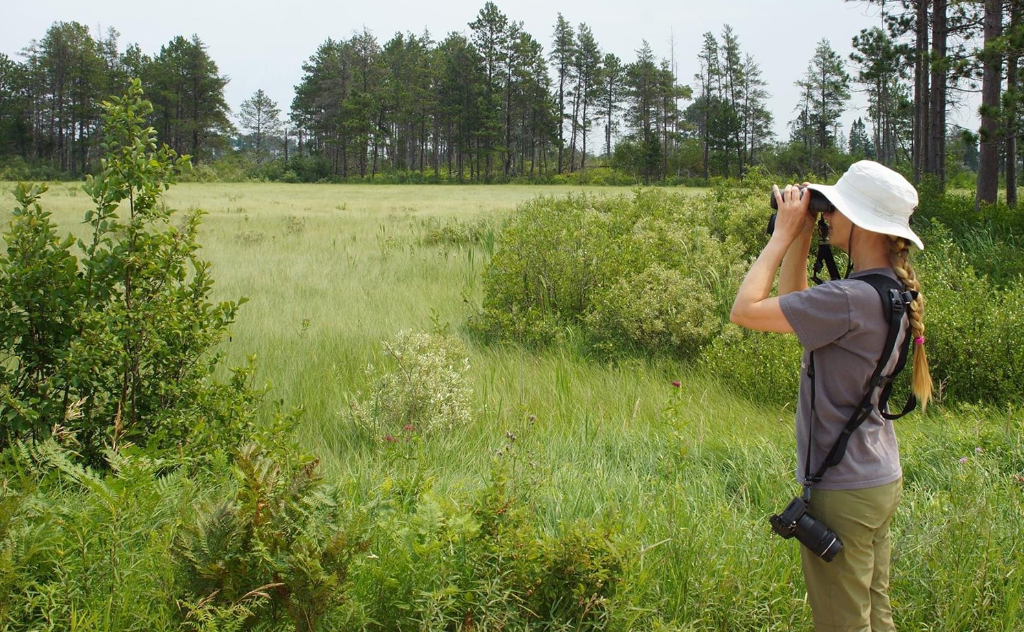 Seney National Wildlife Refuge - Friends of Seney National Wildlife Refuge